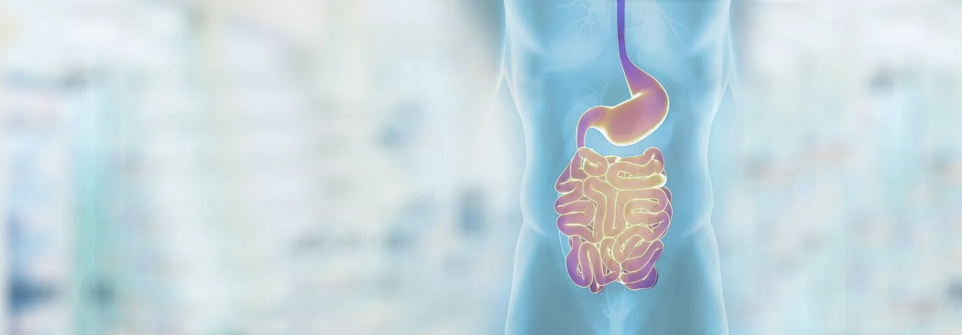 Procedures & Our Services | Midwest GI